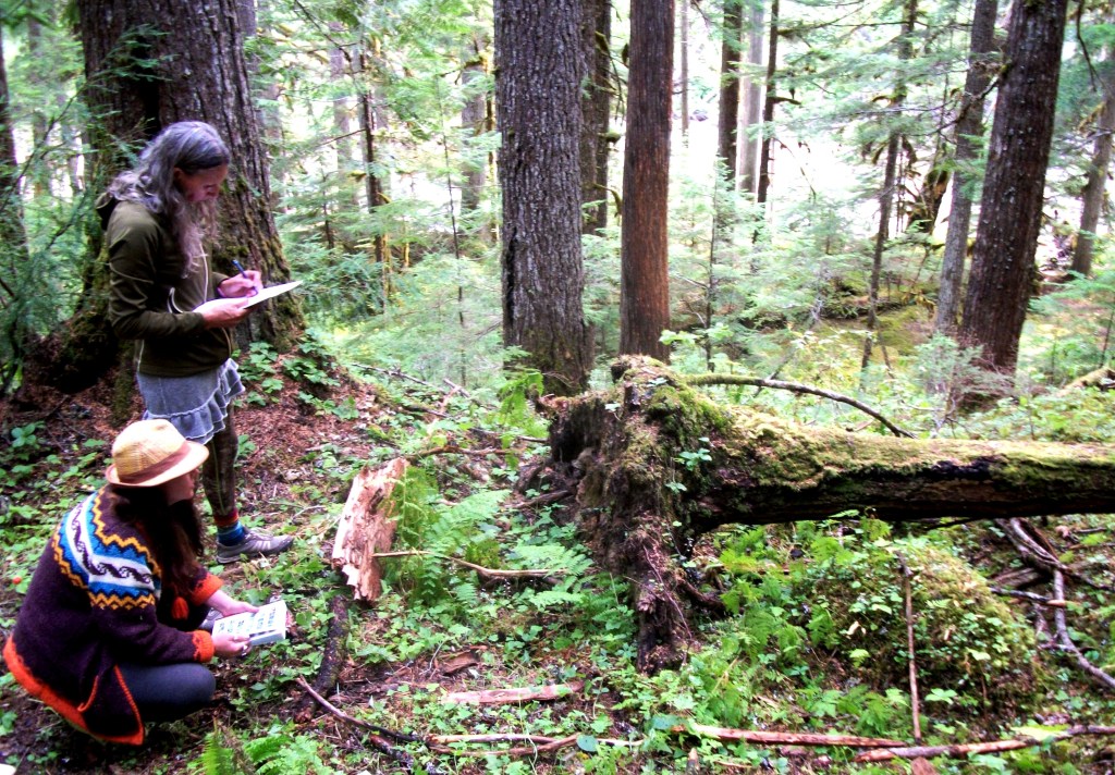 Wildcraft Forest Channel – Deep Nature Every Day